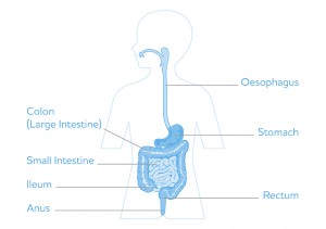 Paediatric Colonoscopy - PaedGastro Care